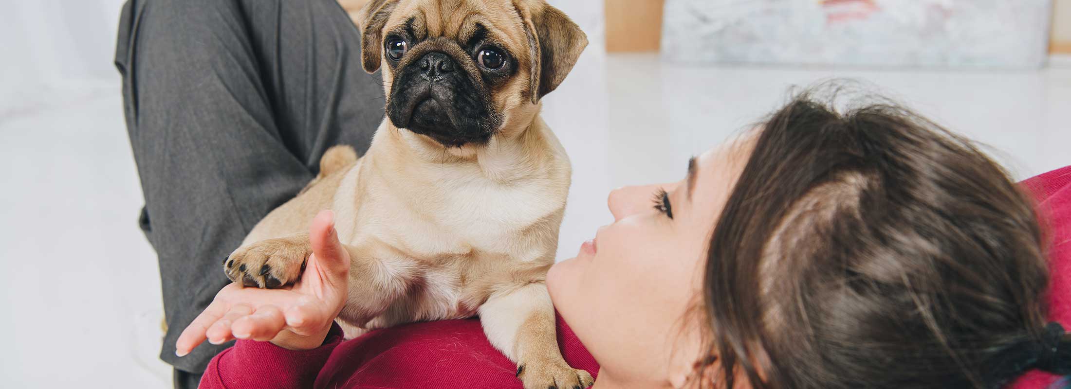 Cómo cuidar a tu perro durante la cuarentena del Coronavirus - Stay Happy
